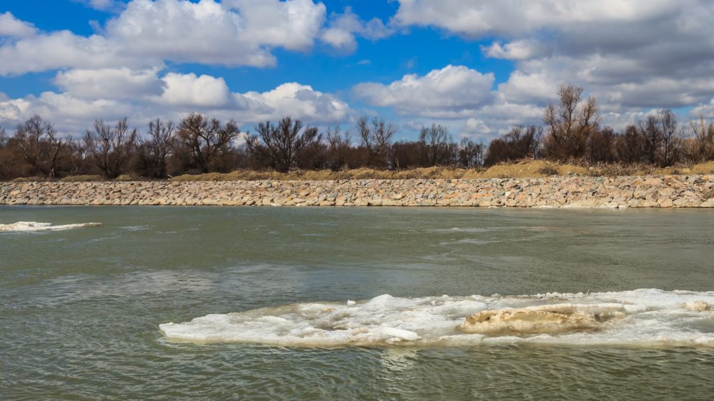 Dirt Time Training - Bioengineering/Streambank Stabilization