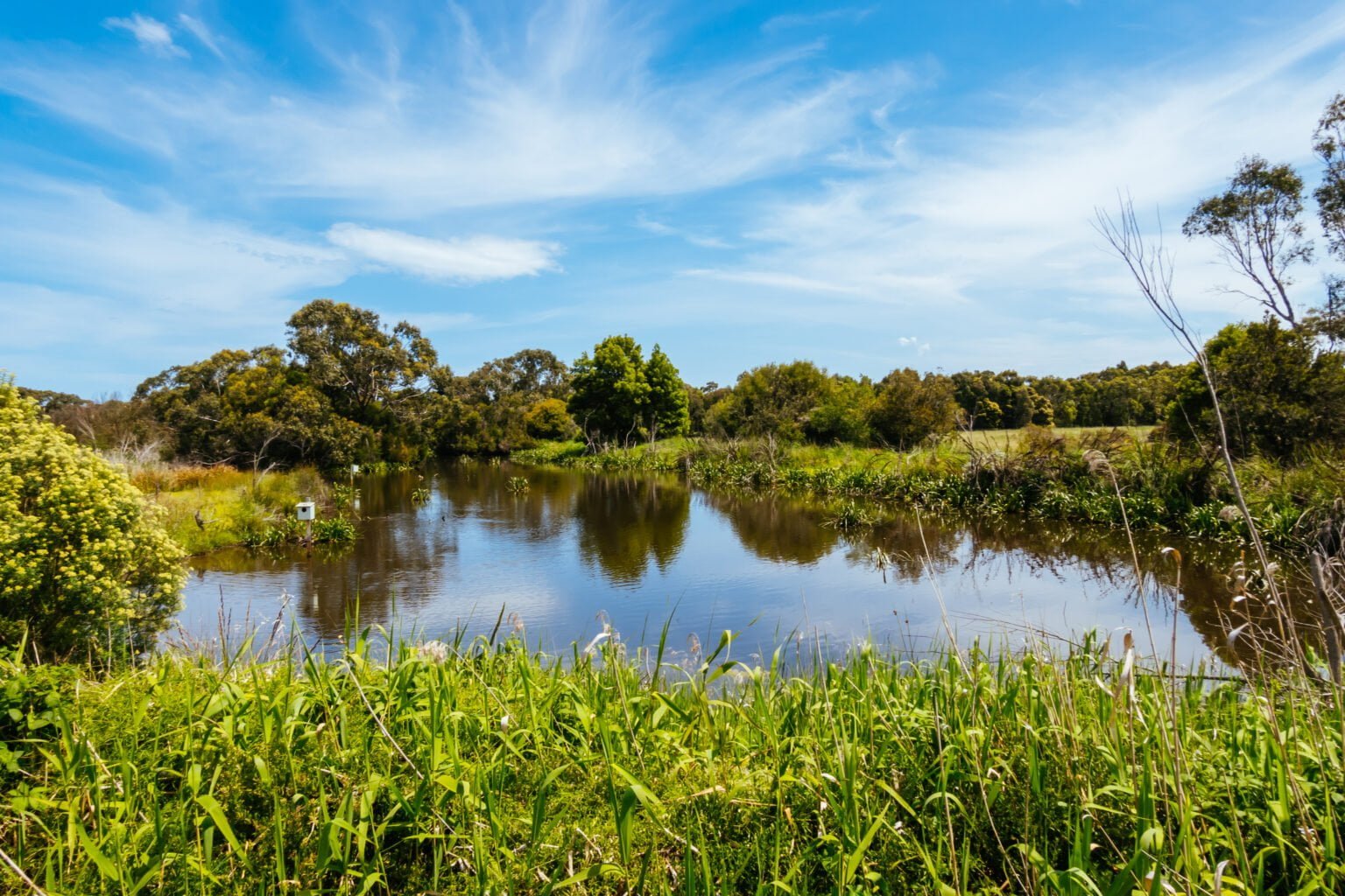 Wetland Regulations 101 for Stormwater Professionals - Stormwater ...